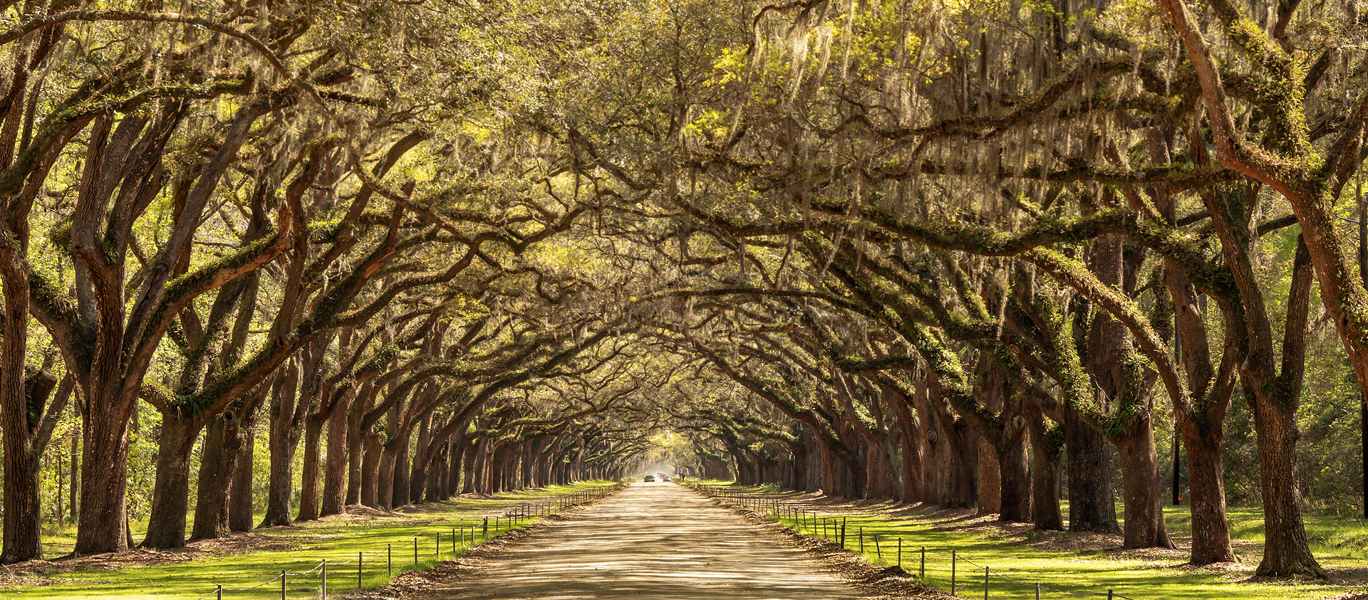 A_Plantation Road – Fort Worth Camera Club