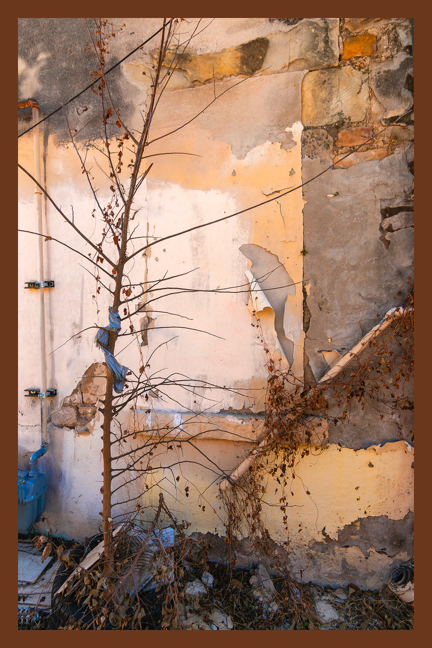 AP_Urban Blight Series 1 – Fort Worth Camera Club