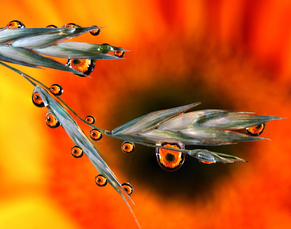 Year-End Award Winners: 2025 – Fort Worth Camera Club